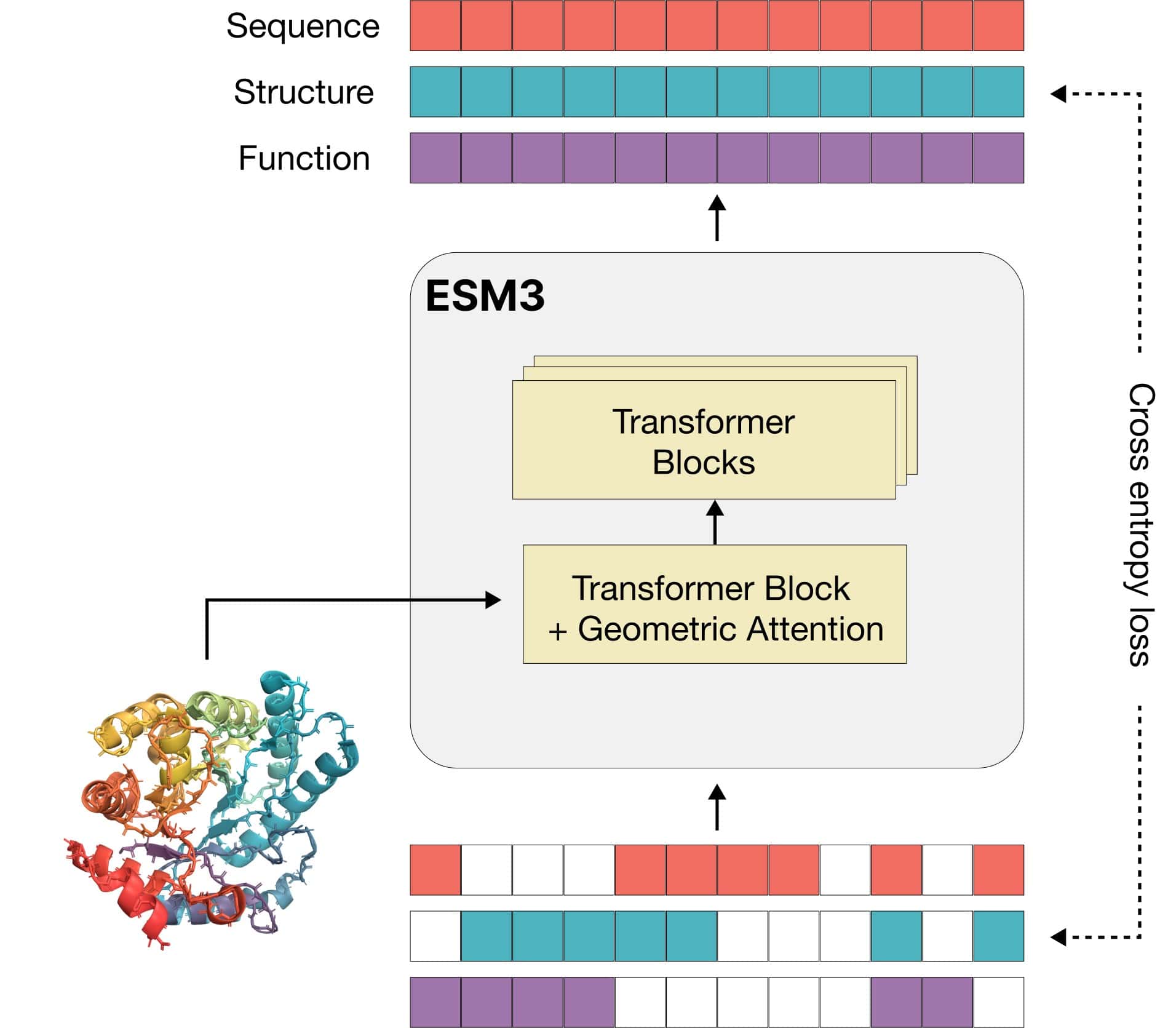 元Metaの研究者ら「自然界にはない」タンパク質を作り出すAIモデル「ESM3」を開発 | XenoSpectrum