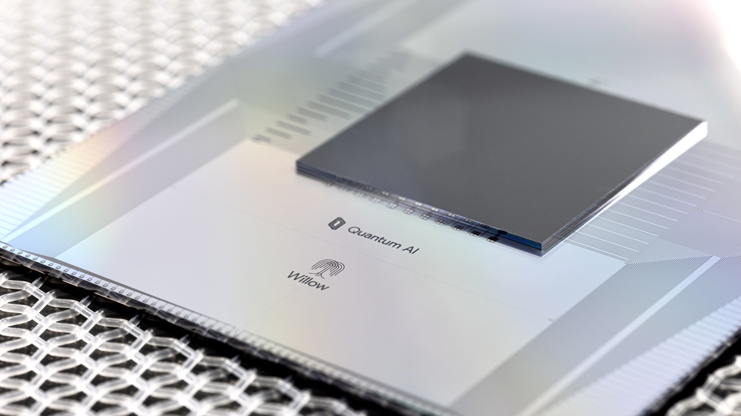 Googleの量子チップ「Willow」は“並行宇宙”を覗いたのか？世界初「時間駆動型」新物質相の生成に成功 | XenoSpectrum